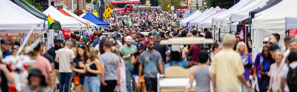 Craft Vendors Application - PVDFEST